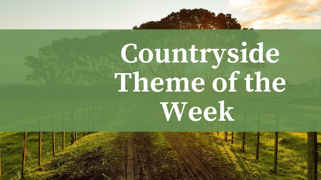 Countryside Theme of the Week - Countryside